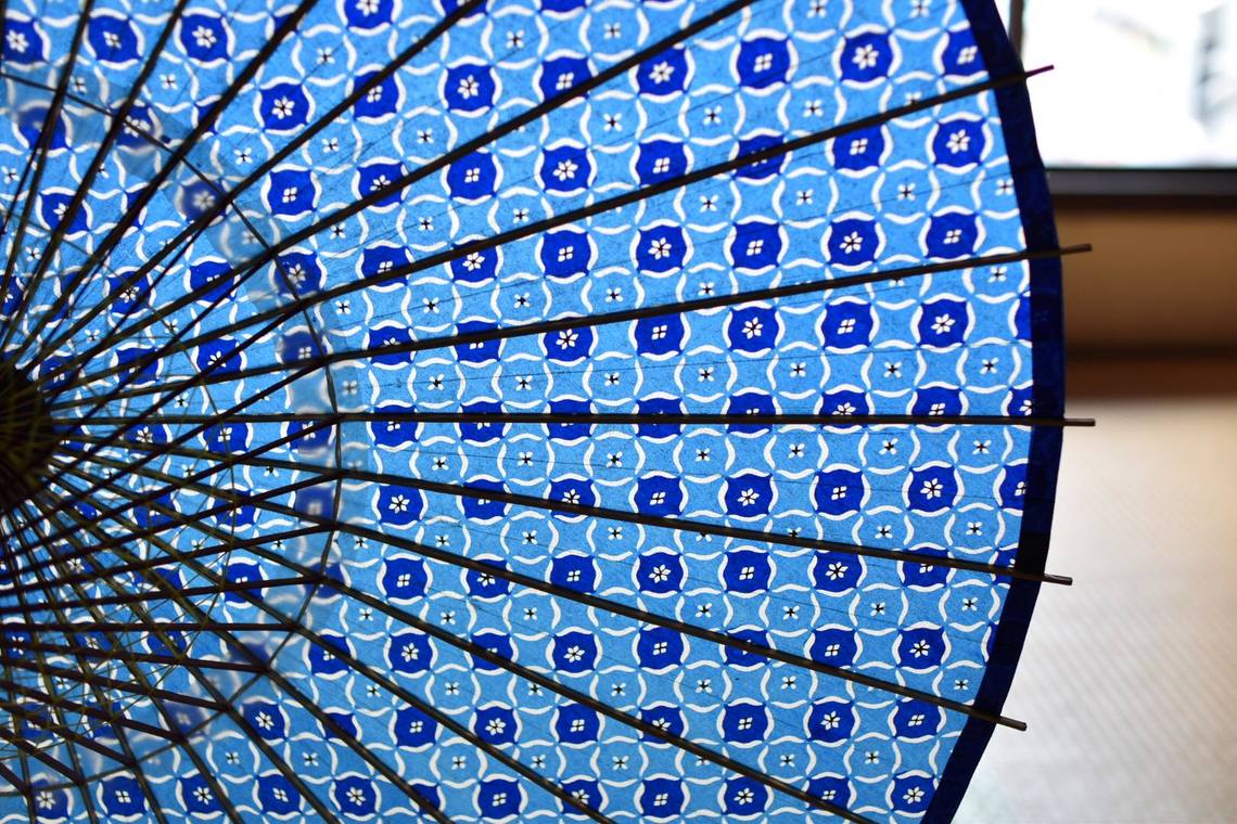 WAGASA | Nagaragawa Meguru Tours