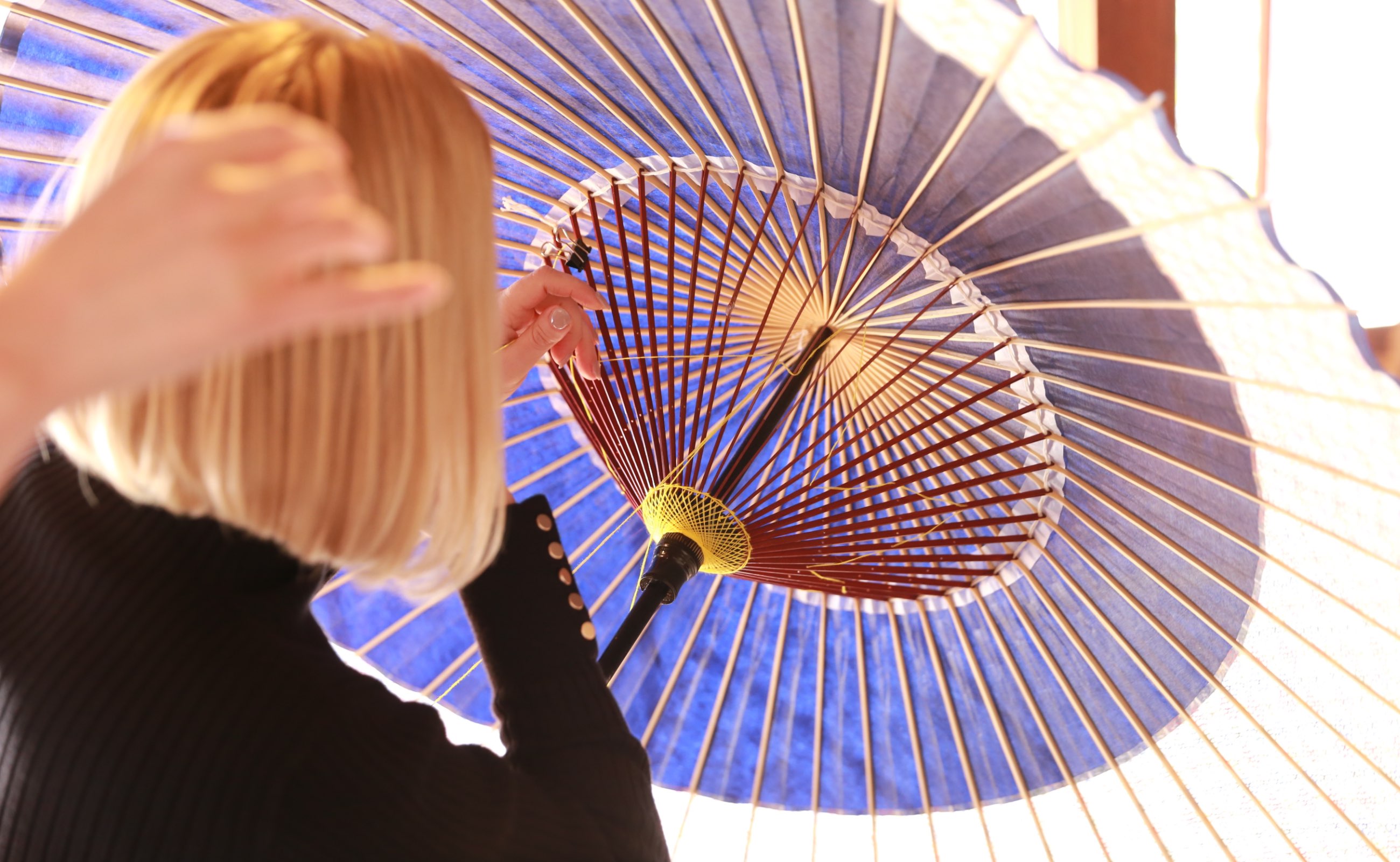 WAGASA | Nagaragawa Meguru Tours