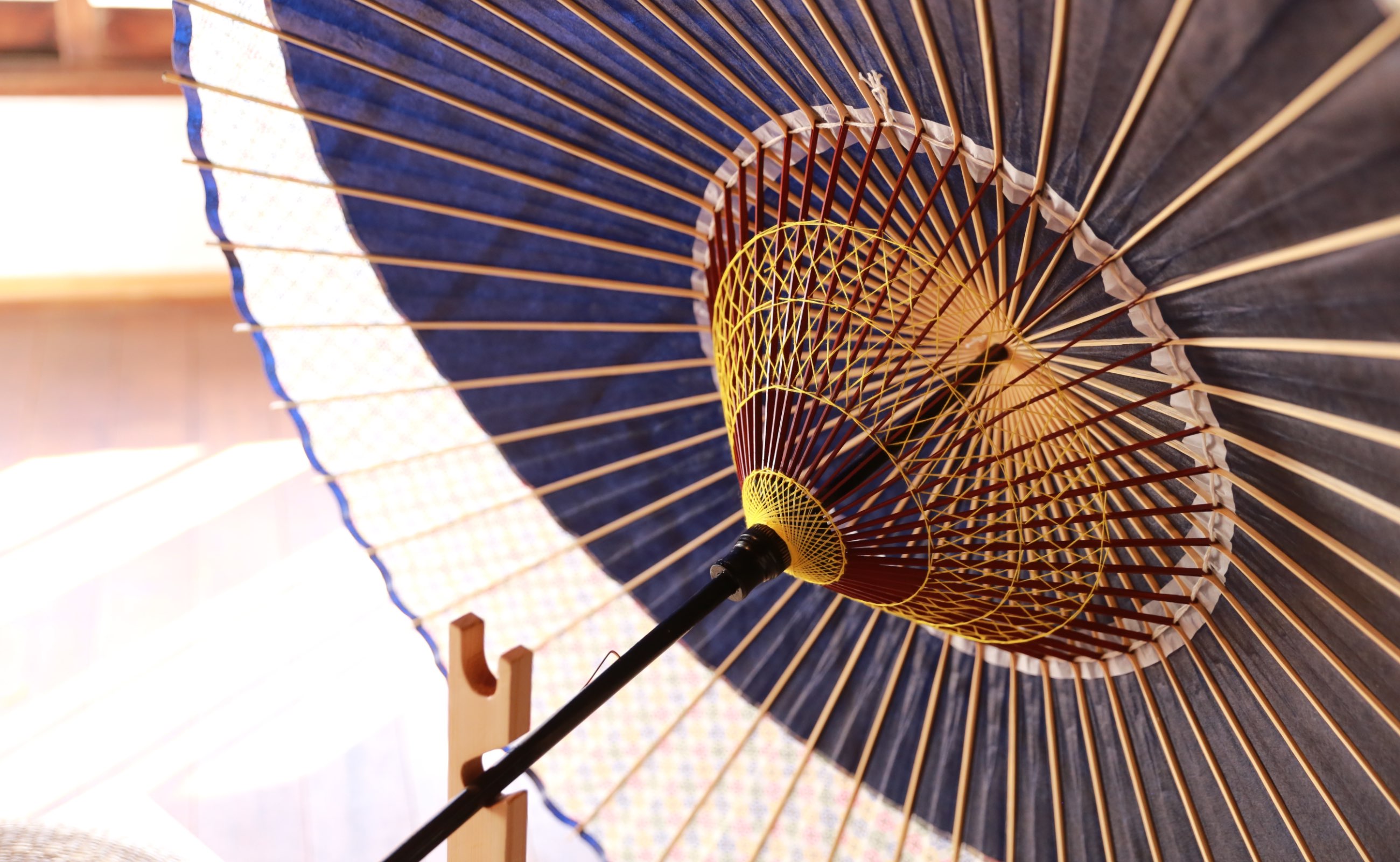 WAGASA | Nagaragawa Meguru Tours